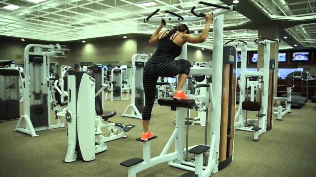 Best Back Machines in the Gym - BrandFuge