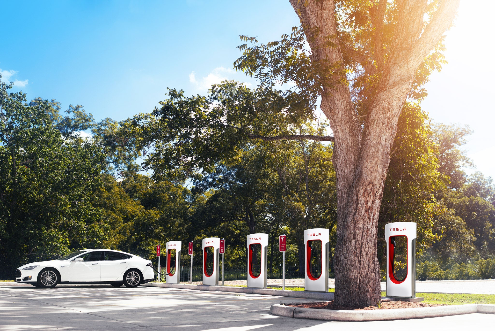 Tesla's Innovative Sustainability Program: A Step Toward a Greener ...